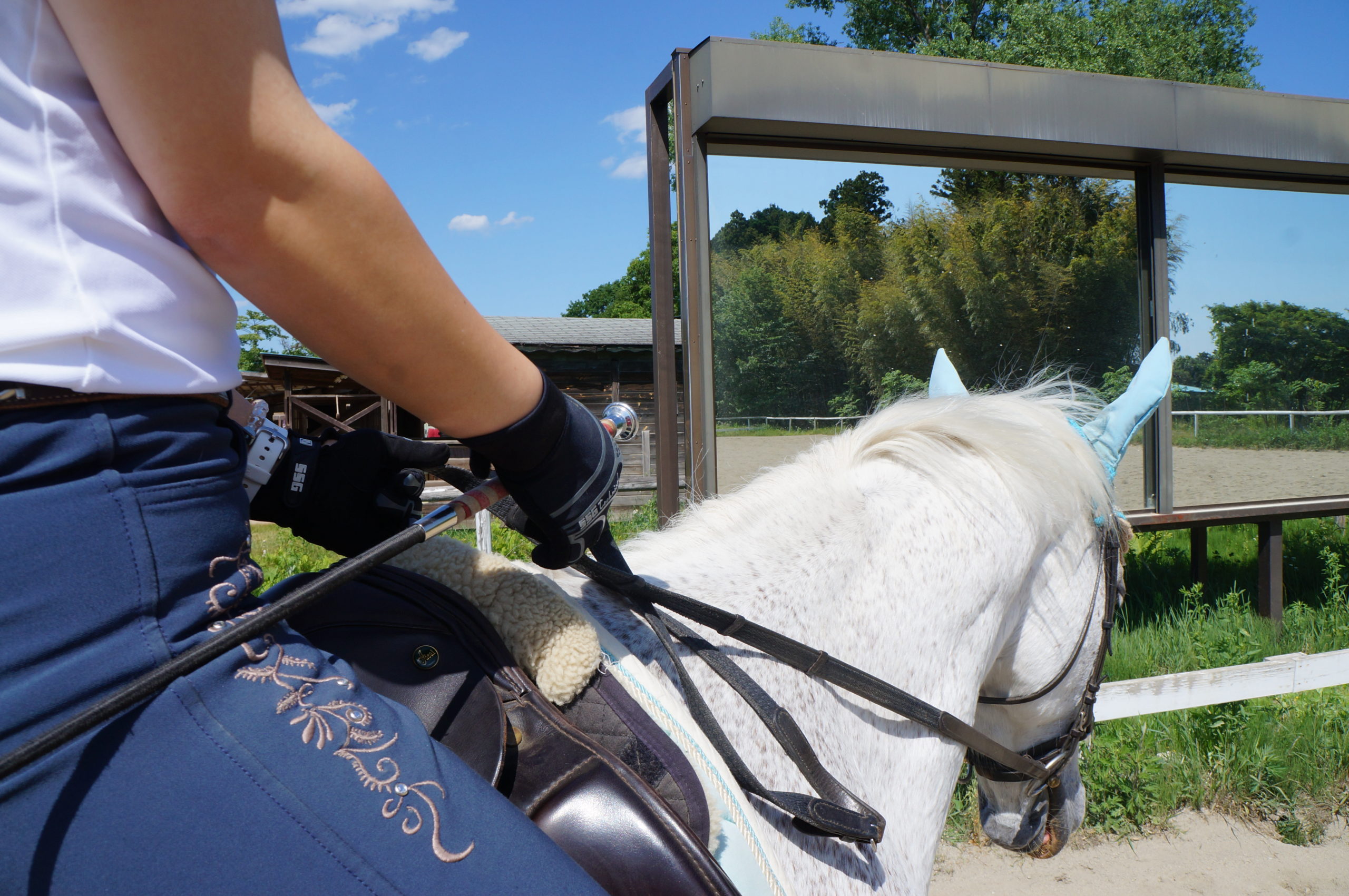 落ち込んでも、馬に乗ると元気になれる理由 | GORON by ペット共生アドバンスネット